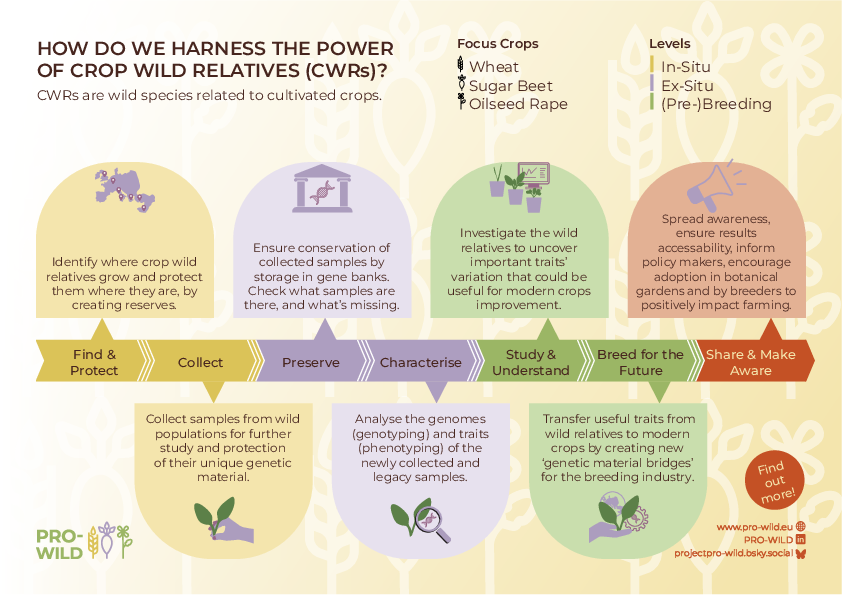 PRO-WILD - Une nouvelle infographie de PRO-WILD met en lumière la ...