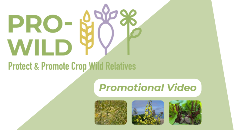 PRO-WILD - PRO-WILD promotional video published and ready to share!